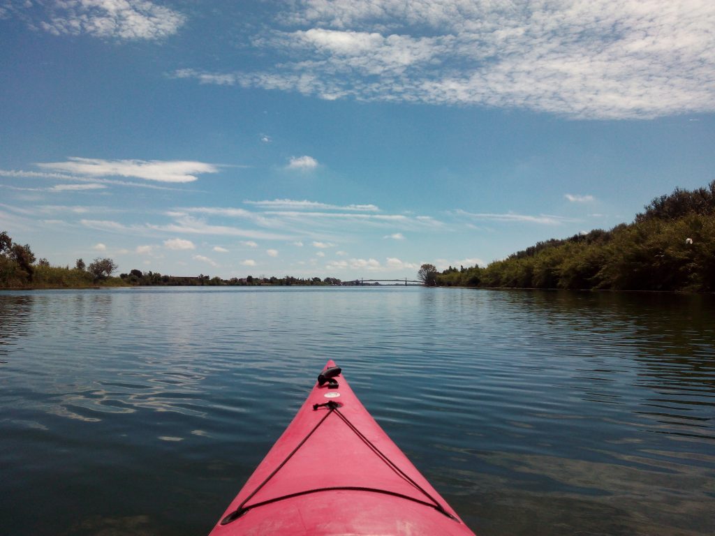 Kayak rental Riu a l'Ebre | Turismo Delta del Ebro